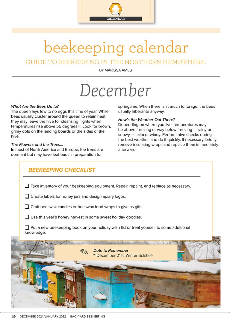 Beekeeping Calendar December/January - Backyard Beekeeping